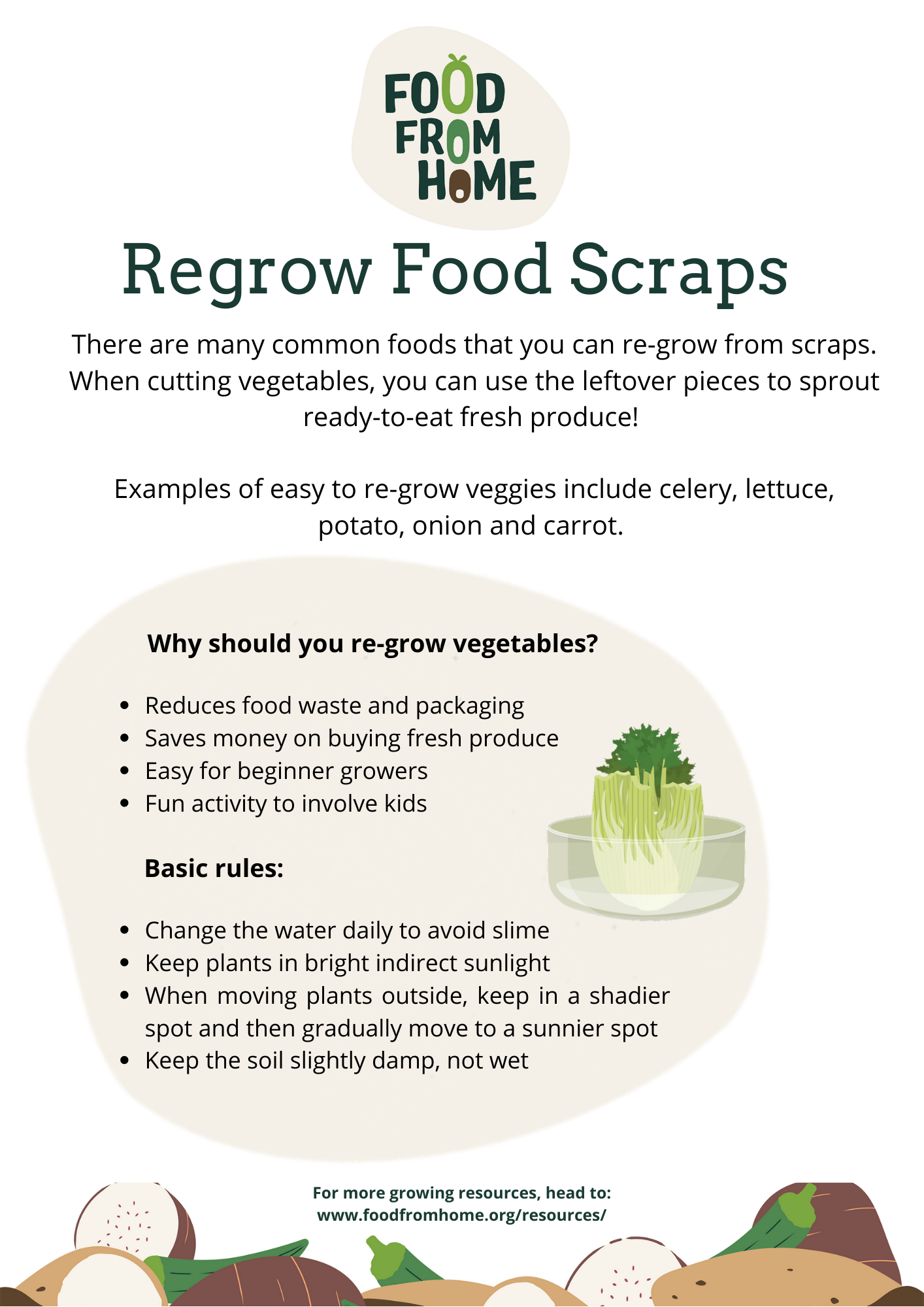 Regrow Food – Food from Home