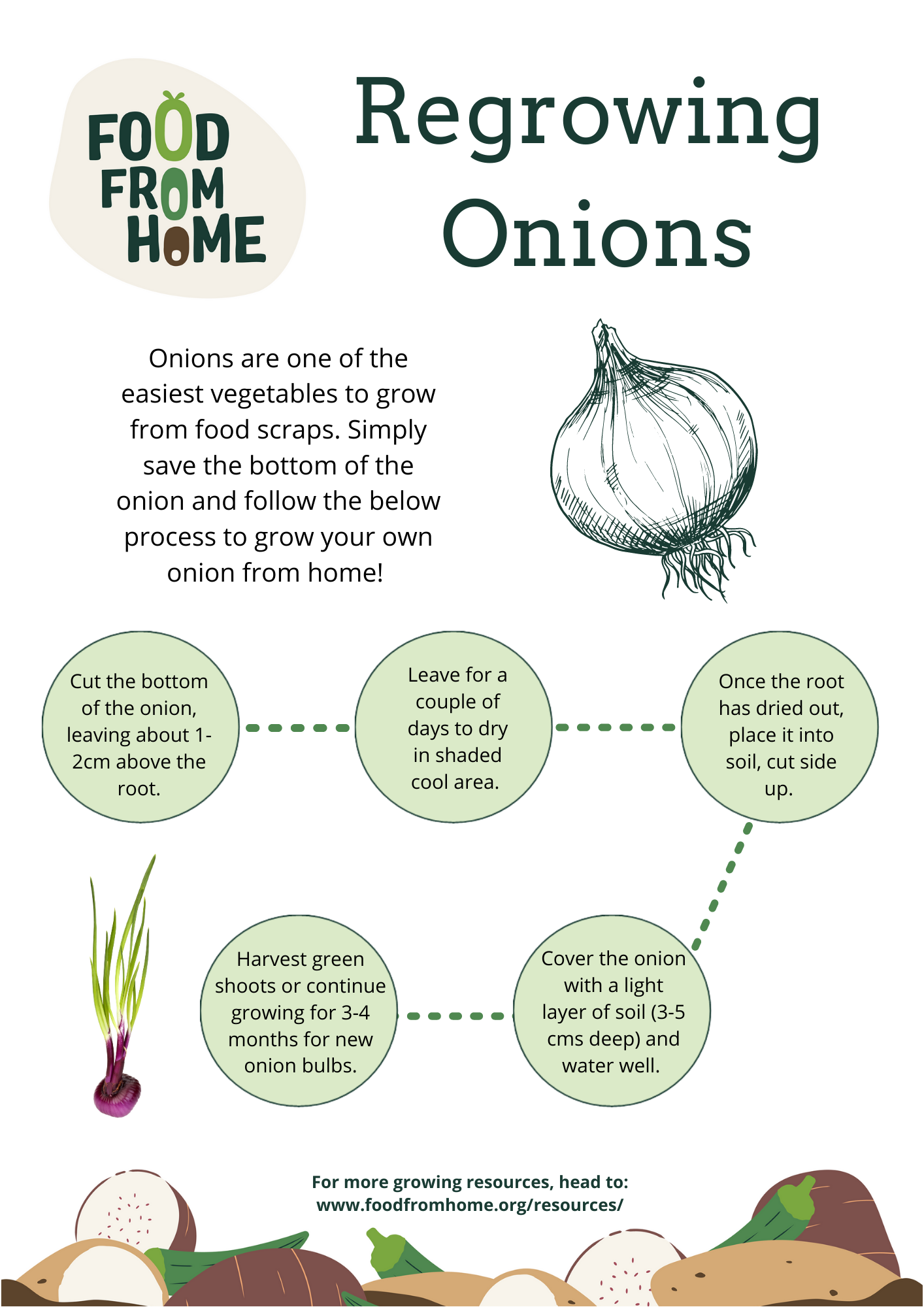 Regrow Food – Food from Home