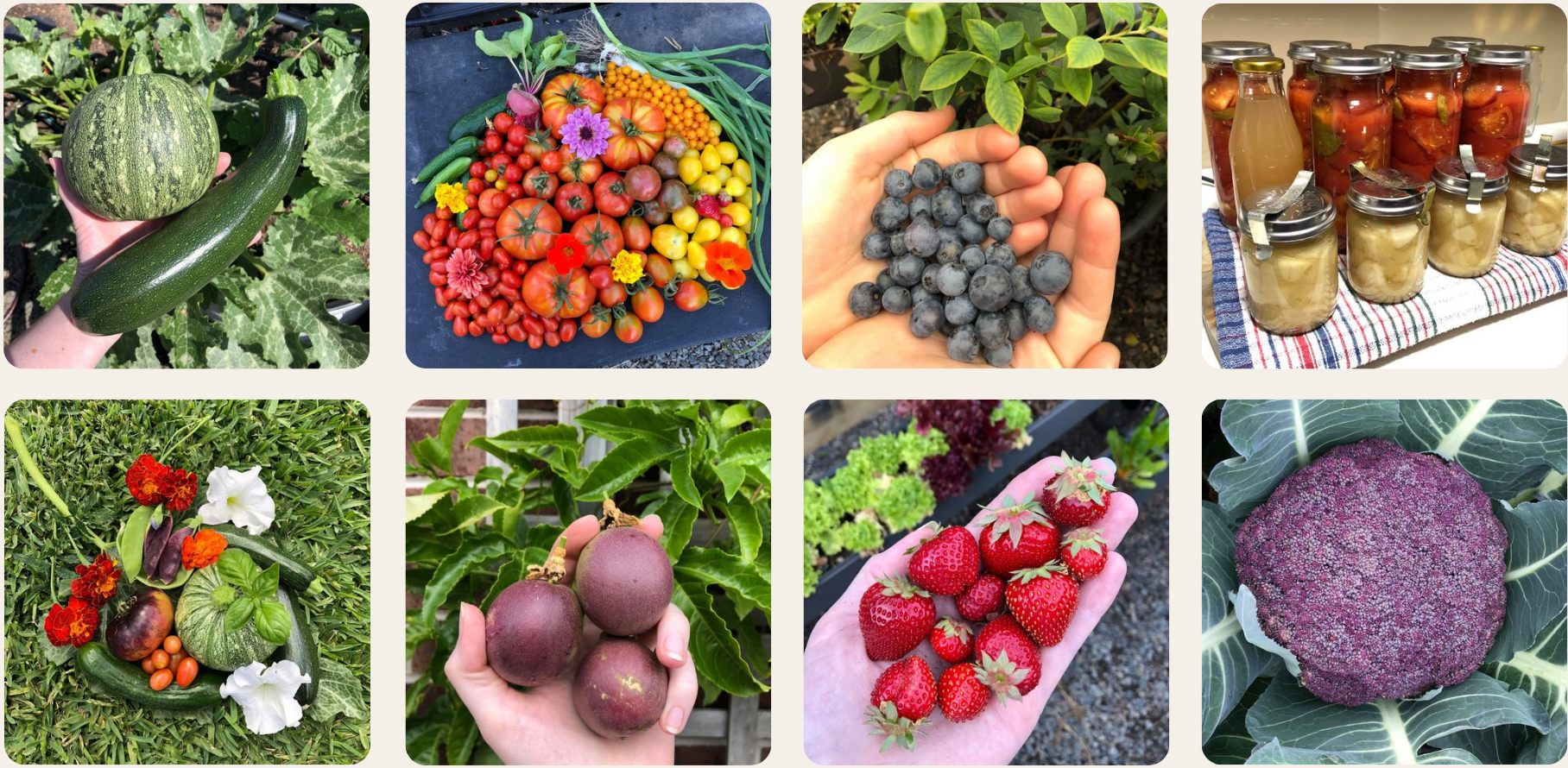 Food from Home Stories – Food from Home