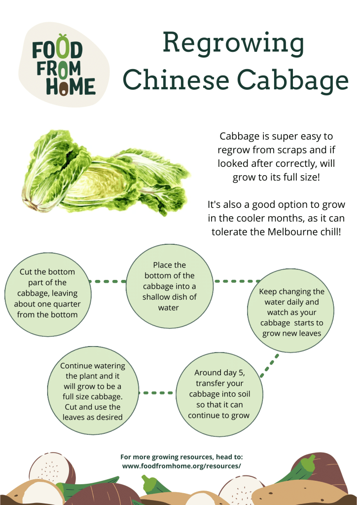 Regrow Food – Food from Home