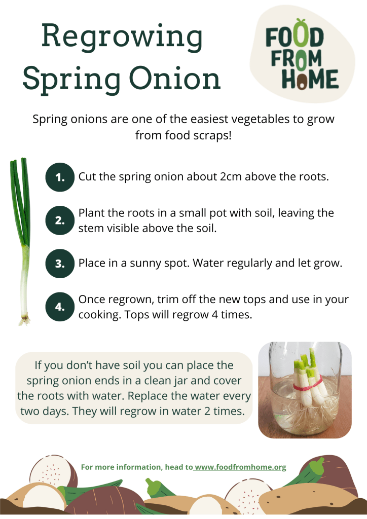 Regrow Food – Food from Home