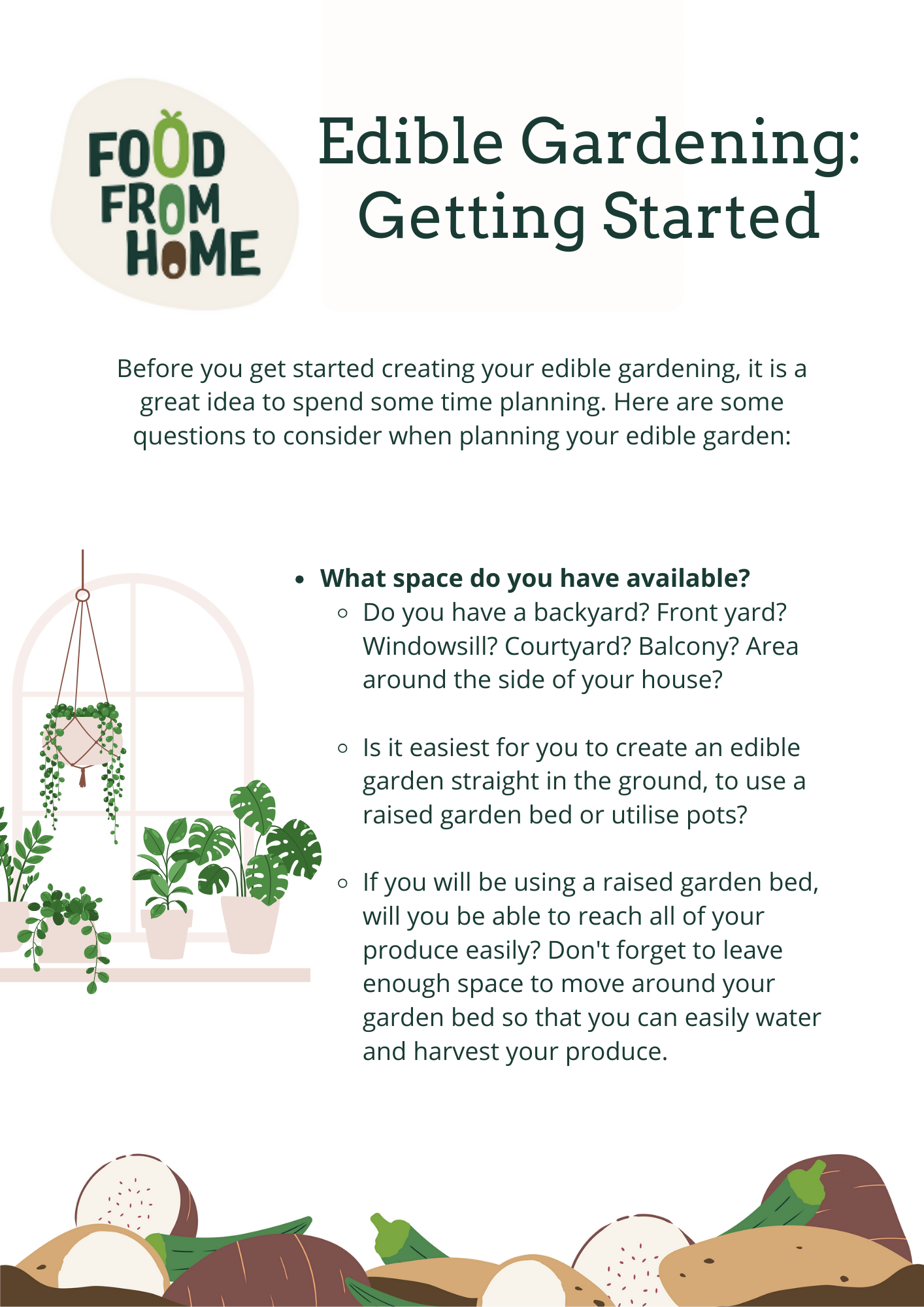 Edible Gardening for Beginners – Food from Home