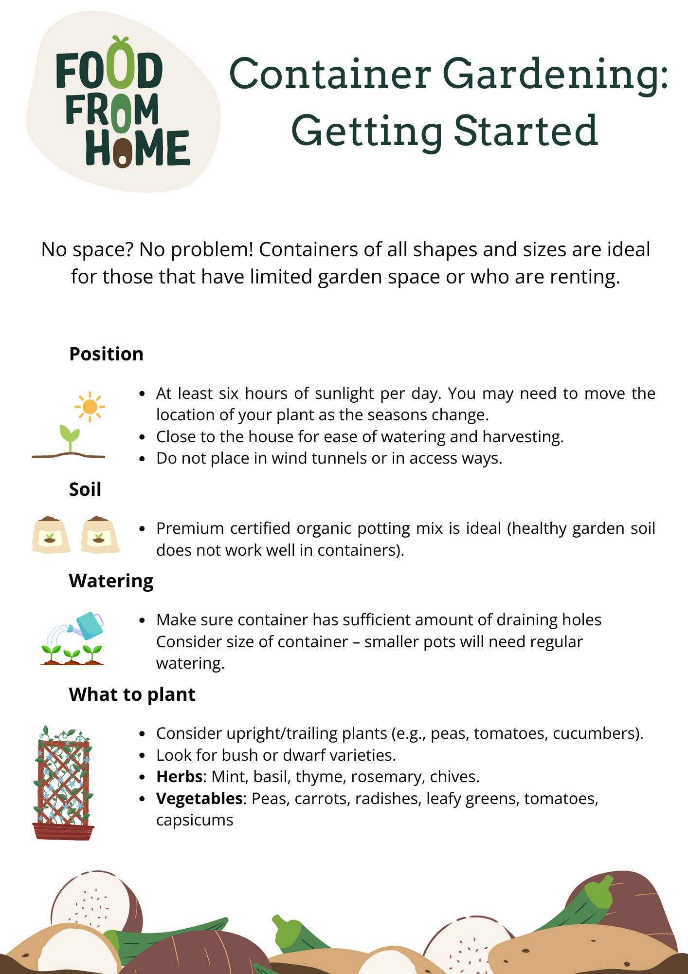 Edible Gardening for Beginners – Food from Home